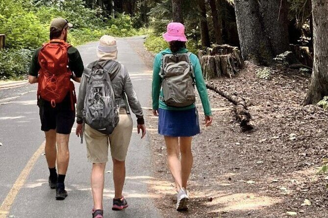 Nature Walk - An In-Depth Look at the Whistler Nature Walk