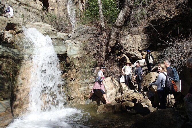 Nature Walk/Hike Tour near Disneyland: ID plants & wildlife - Key Points