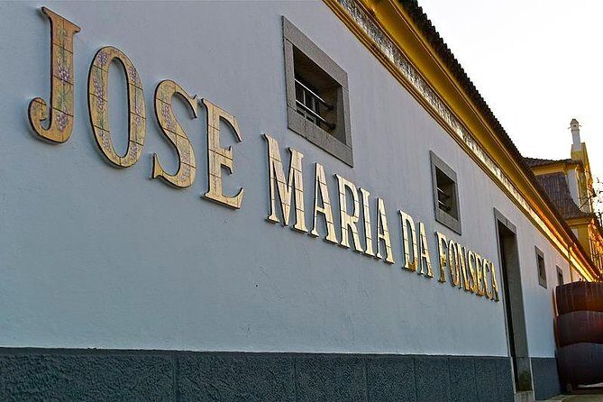 Nature, Wines and Ceramic Tiles: Private Tour - Final Thoughts: Is It Worth It?