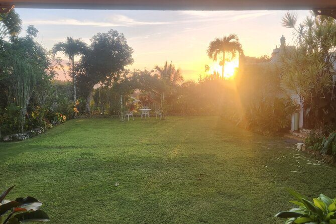 NatureCures Tropical Food Forest 12 Day Group Experience - Final Thoughts