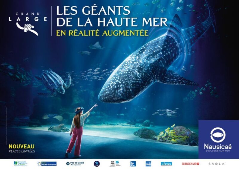 Nausicaá National Sea Center: Full-Day Entry Ticket - Key Points