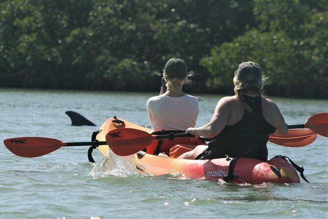 Nauti Exposures - Guided kayak tour through the Mangroves - The Sum Up
