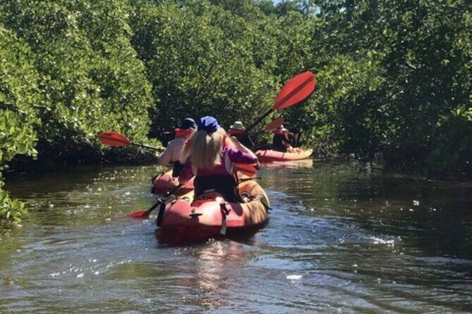 Nauti Exposures - Guided kayak tour through the Mangroves - FAQ