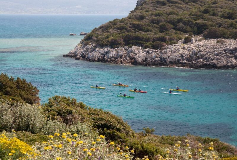 Navarino Bay: Sea Kayaking with Lunch - Who Will Love This Tour?
