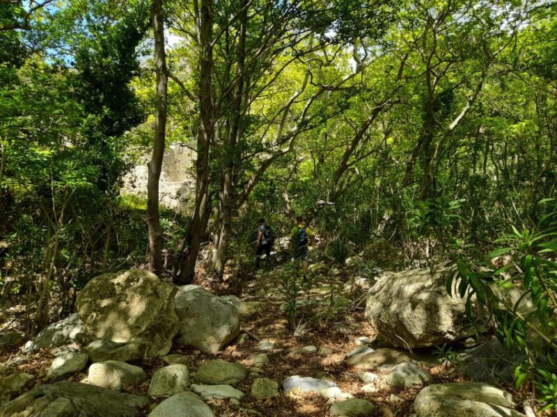 Naxos: A Riverbank Adventure (Kinidaros - Eggares villages) - Exploring Naxos: A Riverbank Adventure (Kinidaros - Eggares villages)