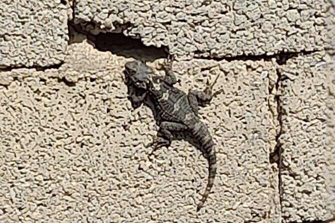 Naxos: Countryside Hike Among Villages & Byzantine Churches - A Closer Look at the Itinerary and What You Can Expect