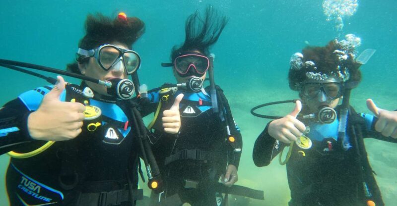 Naxos: Discover Scuba Diving on Agios Georgios Beach - Why We Love This Experience