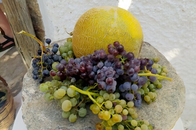 Naxos Farm Experience and cheese making - Final Thoughts  