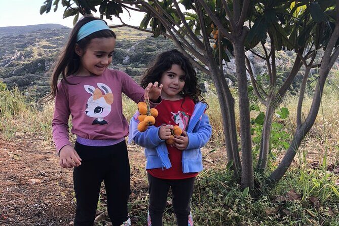 Naxos Perivoli Farm Experience & Wood-fire Cooking Class - What to Expect from the Farm & Cooking Tour