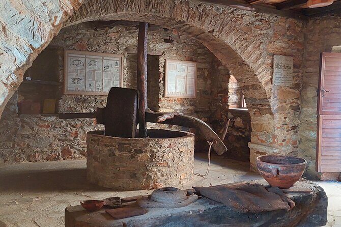 Naxos private highlights half day tour - Who Should Book This Tour?