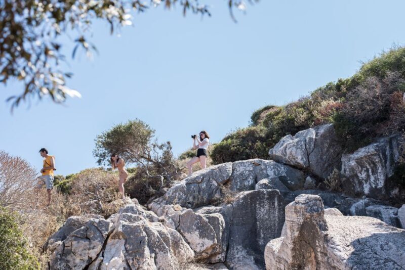 Naxos: Private Minibus Rental with an Experienced Driver - Key Points