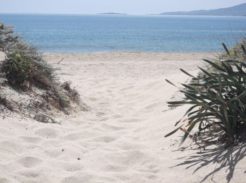 Naxos: Private Minibus Rental with an Experienced Driver - The Experience in Detail: What to Expect