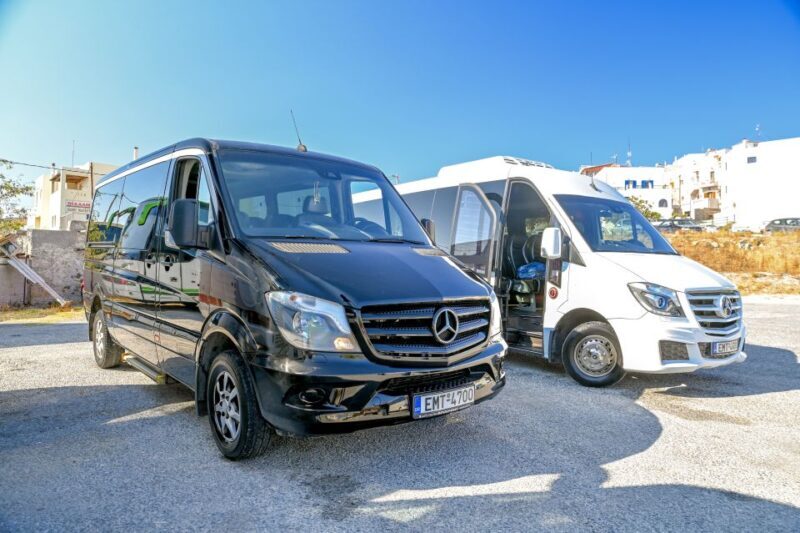 Naxos: Private Minibus Rental with an Experienced Driver - Practical Details and Considerations