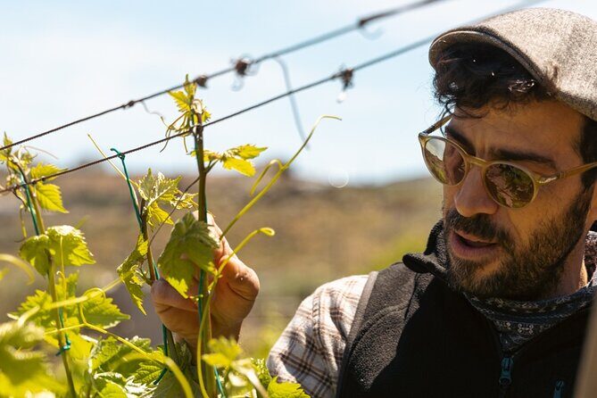 Naxos Private / Semi Private E-Bike Guided Tour Inland Methexis - The Itinerary in Detail: What to Expect