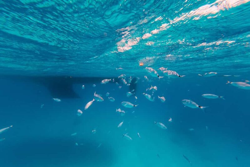 Naxos: Sailing Cruise with Lunch & Drinks - FAQ