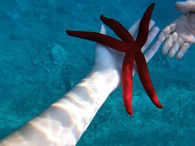 Naxos: Taormina Boat Tour with Snorkeling and Prosecco - Practical Details