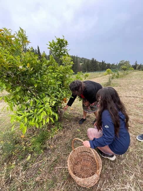 Near Cagliari: Wild Herbs and Healing at "In Our Garden" - Discovering Sardinia’s Herbal Heritage