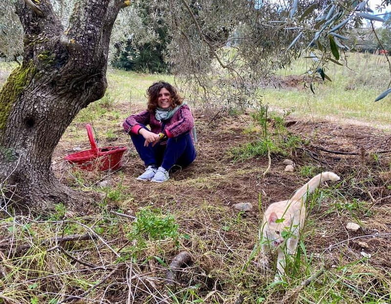 Near Cagliari: Wild Herbs and Healing at "In Our Garden" - The Sum Up