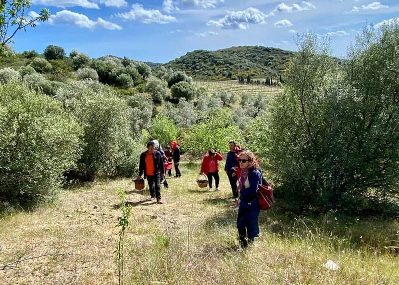 Near Cagliari: Wild Herbs and Healing at "In Our Garden" - FAQ