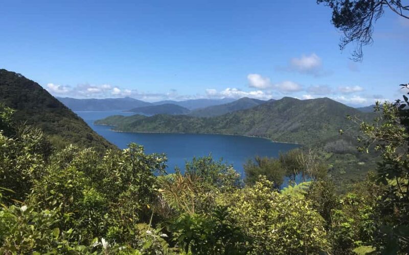 Nelson: Abel Tasman Kayaking & Great Taste Trail Bike Tour - FAQ