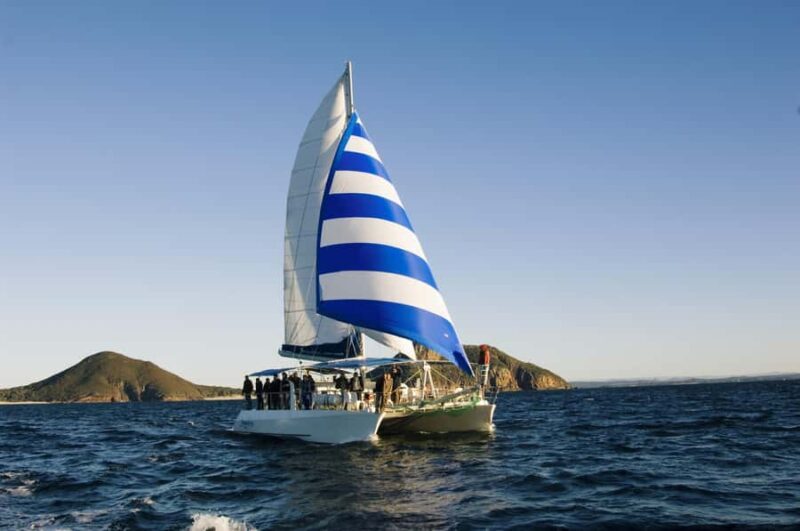 Nelson Bay: Dolphin Watch Cruise and Sail - An Authentic Look at Nelson Bay Dolphin Watch Cruise and Sail