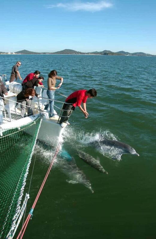 Nelson Bay: Dolphin Watch Cruise and Sail - Practical Details and Tips