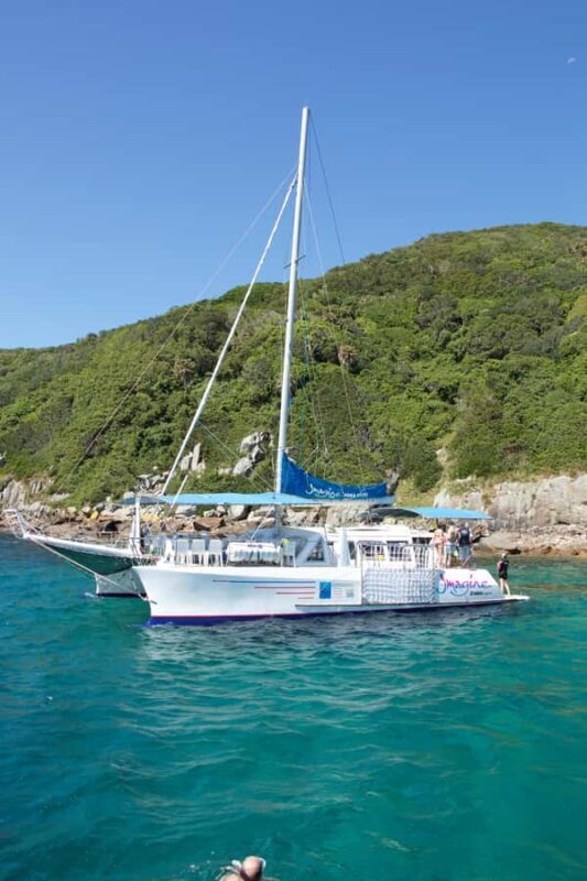 Nelson Bay: Marine Discovery Cruise with Snorkeling - Key Points