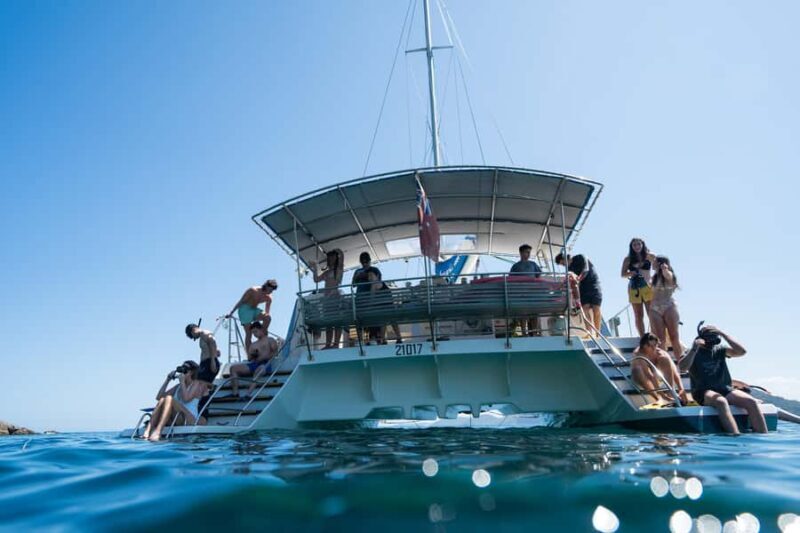 Nelson Bay: Marine Discovery Cruise with Snorkeling - What Makes This Tour Special?