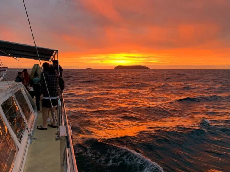 Nelson Bay: Whale and Dolphin Watching Catamaran Cruise - Final Thoughts