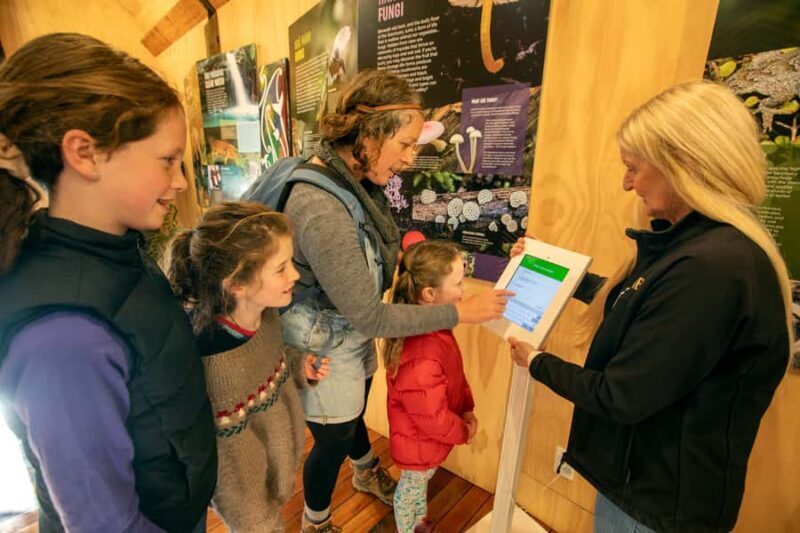 Nelson: Brook Waimrama Sanctuary Entry Ticket - An In-Depth Look at the Brook Waimrama Sanctuary