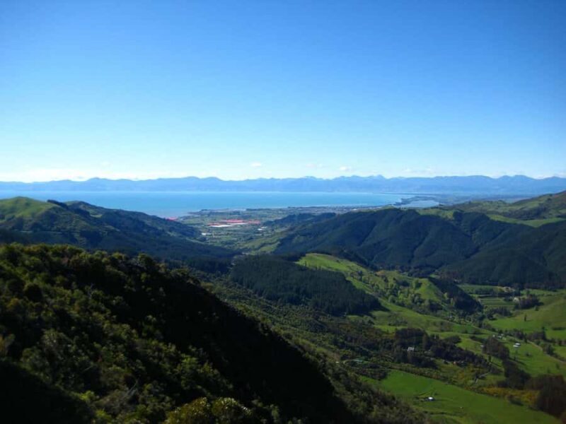 Nelson: Cruise Abel Tasman National Park to Golden Bay Tour - Final Thoughts: Is It Worth It?