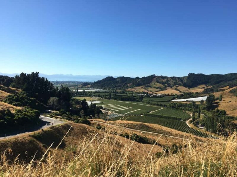 Nelson: Golden Bay in a Day Tour - The Sum Up