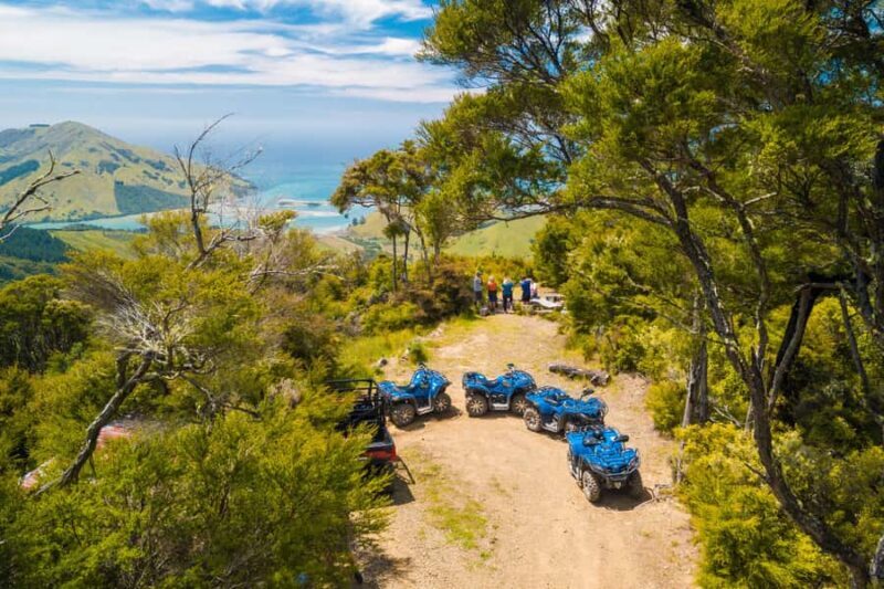 Nelson: Guided Quad Biking Tour Through Forest and Farmland - Key Points