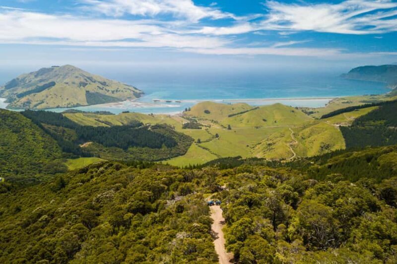 Nelson: Guided Quad Biking Tour Through Forest and Farmland - An In-Depth Look at the Nelson Quad Biking Tour