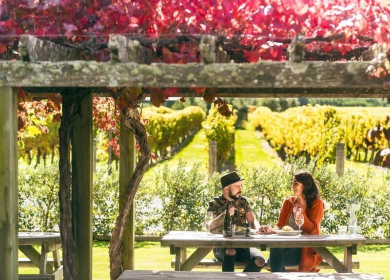 Nelson: Marlborough Wine Tour with Tastings and Lunch - An In-Depth Look at the Nelson Marlborough Wine Tour