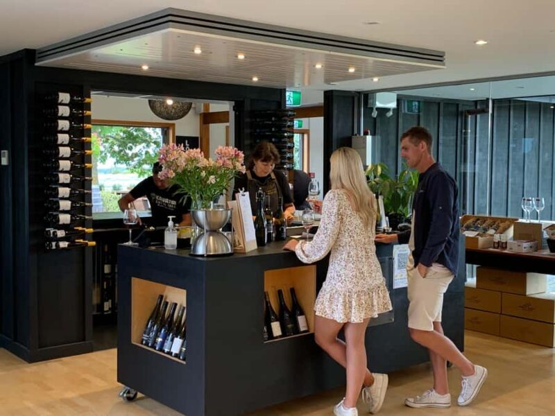 Nelson: Marlborough Wine Tour with Tastings and Lunch - Who Is This Tour Best For?