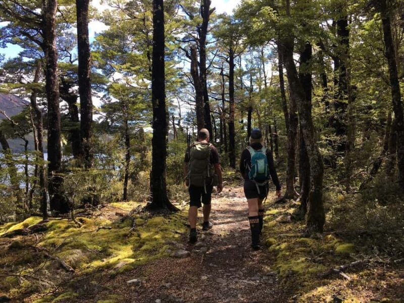 Nelson: Nelson Lakes National Park Day Trip with Lunch - Key Points