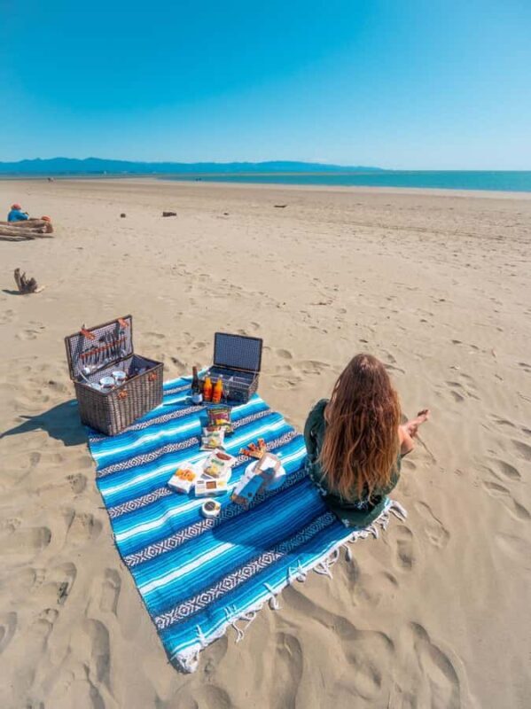 Nelson: Taste Tasman Food & Wine Tour with Lunch & Tastings - An In-Depth Look at the Nelson Taste Tasman Food & Wine Tour