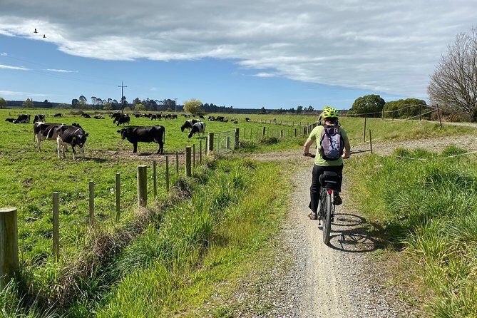 Nelson to Mapua: Full-Day Self-Guided Cycling Adventure - Frequently Asked Questions
