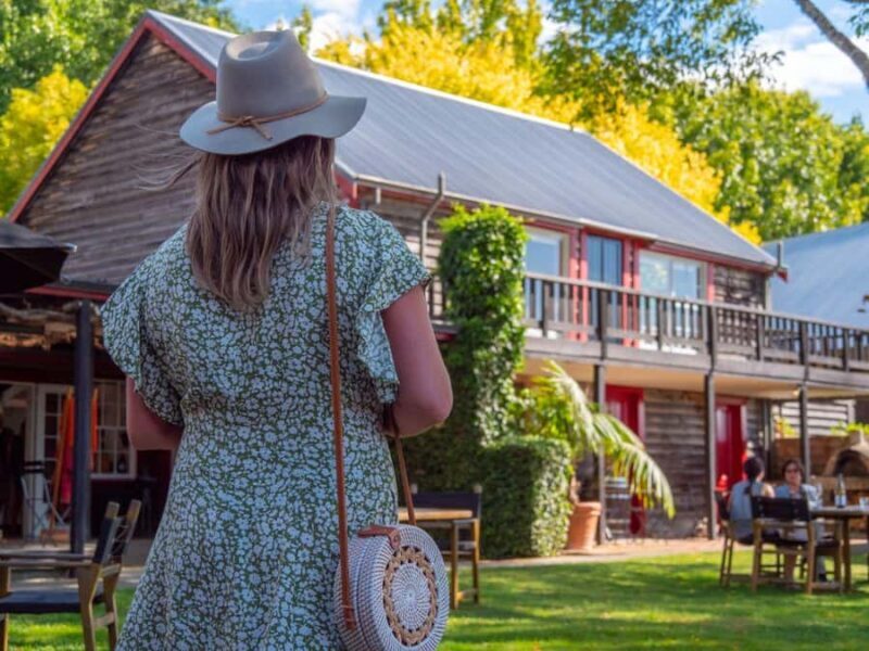 Nelson: Wine Tour with Tastings and Lunch - A Guided Journey Through Nelson’s Wine Regions