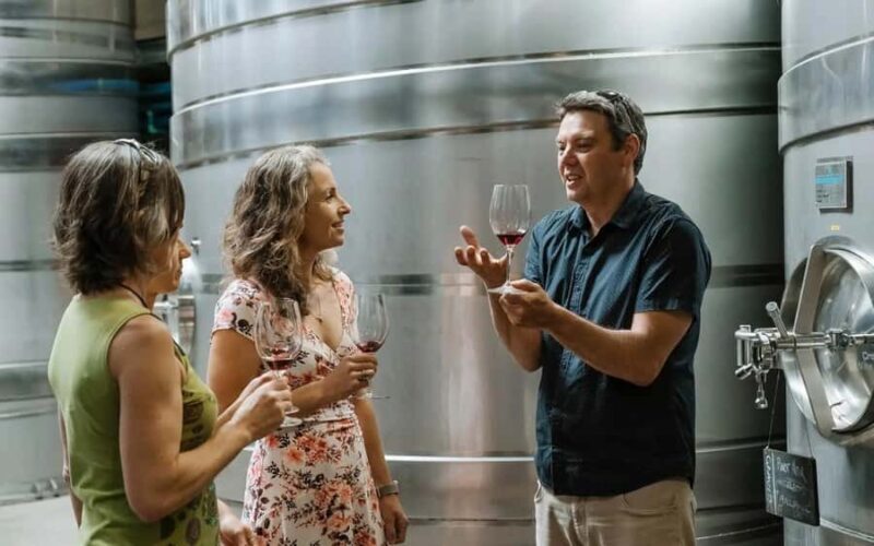 Nelson: Wine Tour with Tastings and Lunch - The Value of the Experience