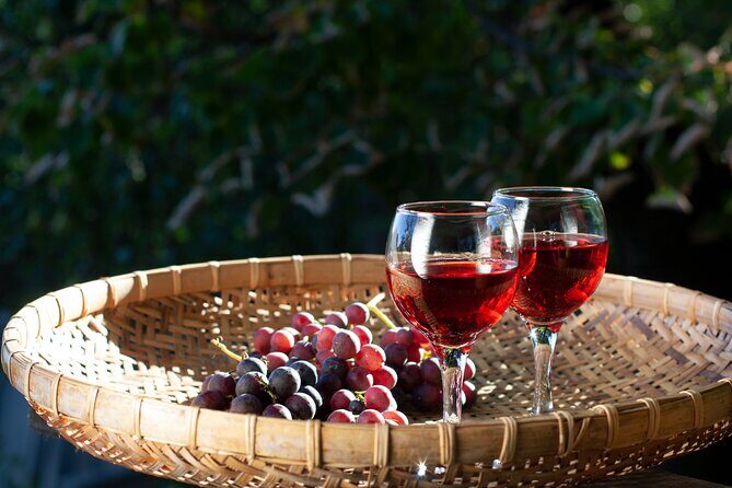 Nemea Wine Tasting & Nafplio Full-Day Private Tour from Athens - A Deep Dive into the Experience