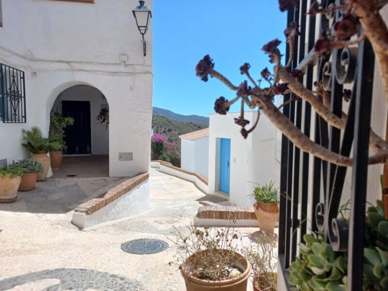 Nerja, Frigiliana & El Acebuchal: Full-Day Semi-Private Tour - The Sum Up: Who Will Love This Tour?
