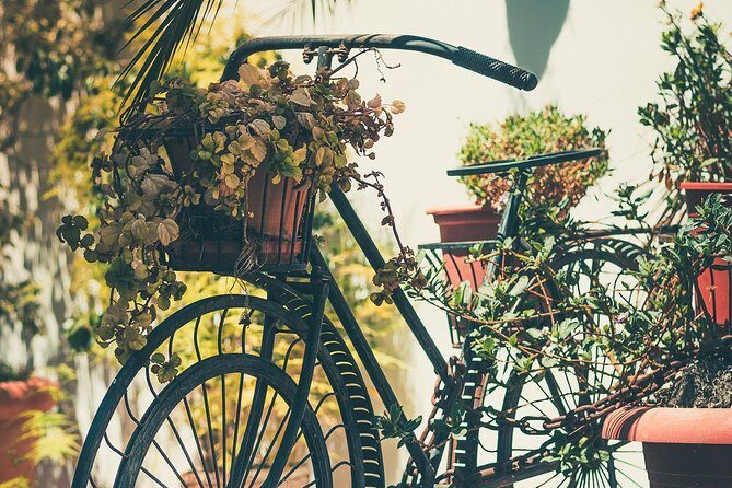 Nerja (Pueblo) + Frigiliana & El Acebuchal - Semi-Private - Introduction: A Tour that Combines Beauty, Culture, and Authenticity