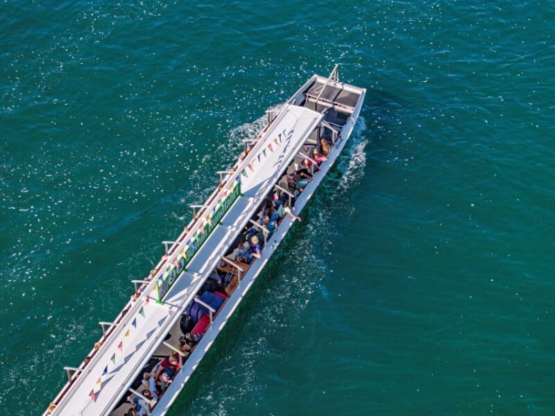 Neuhausen am Rheinfall: Rhine Falls Boat Tour - Perfect for Who?