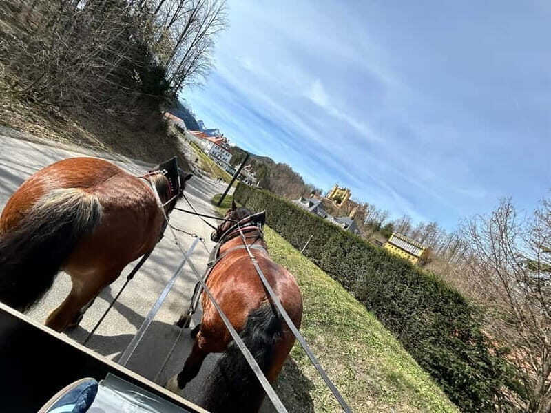 Neuschwanstein Castle Skip-the-Line Ticket with Audio Guide - Accessibility and Practical Tips