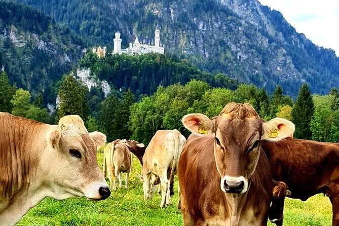 Neuschwanstein Castle Tour with Skip the Line from Hohenschwangau - Final Thoughts