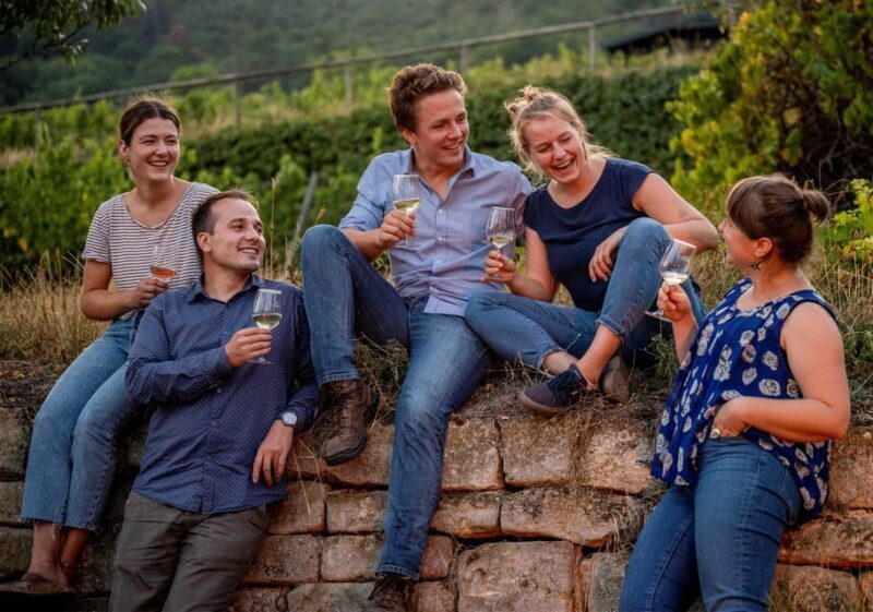 Neustadt: Wine tasting with cellar tour and vineyard visit - Neustadt: Wine tasting with cellar tour and vineyard visit