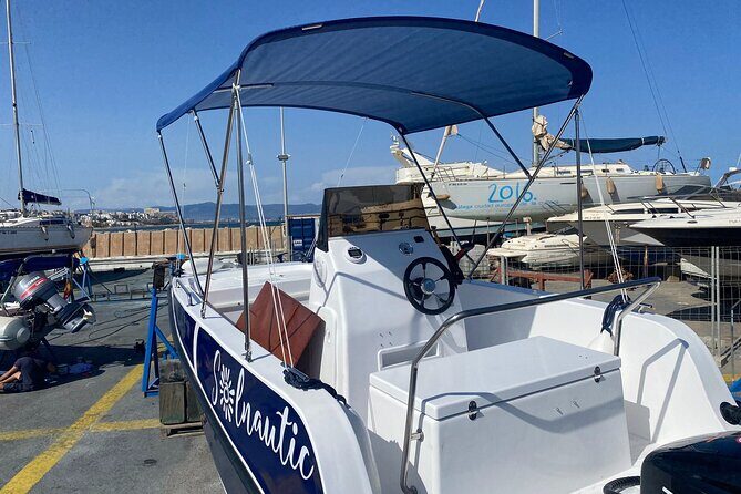 New 2025!! Unlicensed boat for dolphin watching - What Reviewers Say