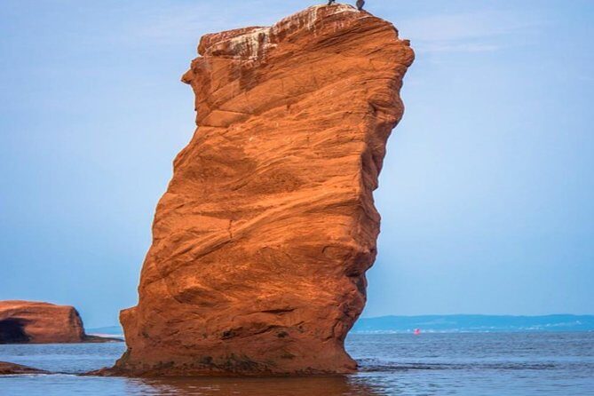 New Brunswick Shore Excursion: Bay of Fundy and More Highlights Tour - Exploring the New Brunswick Shore Excursion: Bay of Fundy and More Highlights Tour